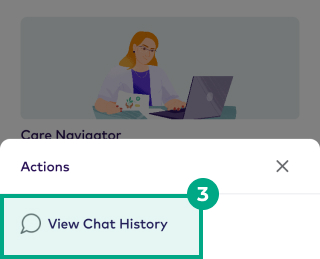 View chat transcripts